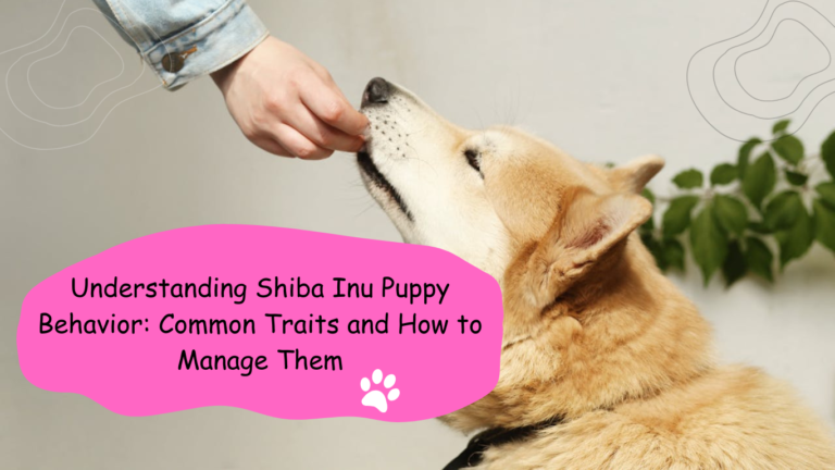Furrylicious Puppy Boutique Understanding Shiba Inu Puppy Behavior ...